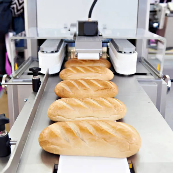 Bande transporteuse en PVC de qualité alimentaire - Tiantie Industriel